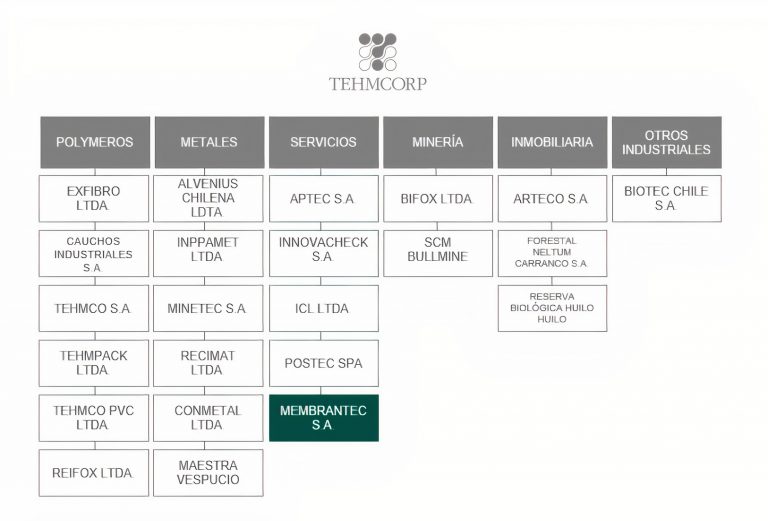 Organigrama Tehmcorp_auto_x2 | Membrantec S.A